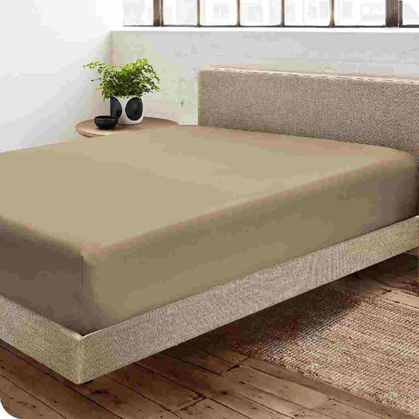 weilaicheng 100% Cotton Solid Colour Fitted Sheet - Wayfair Canada